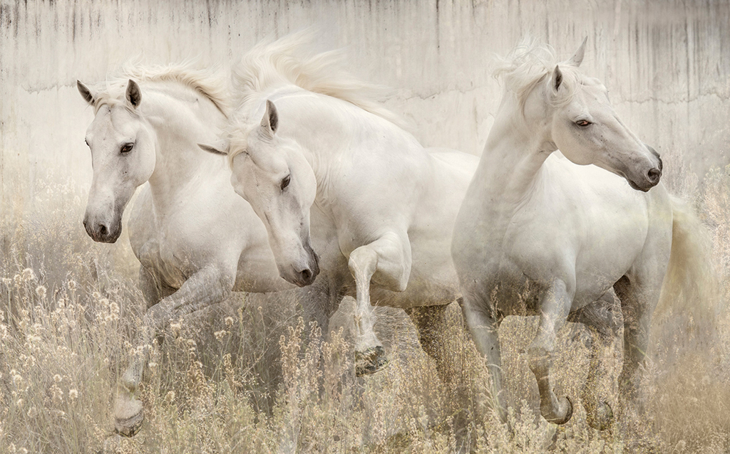 Viewpoint Photographic Art Center