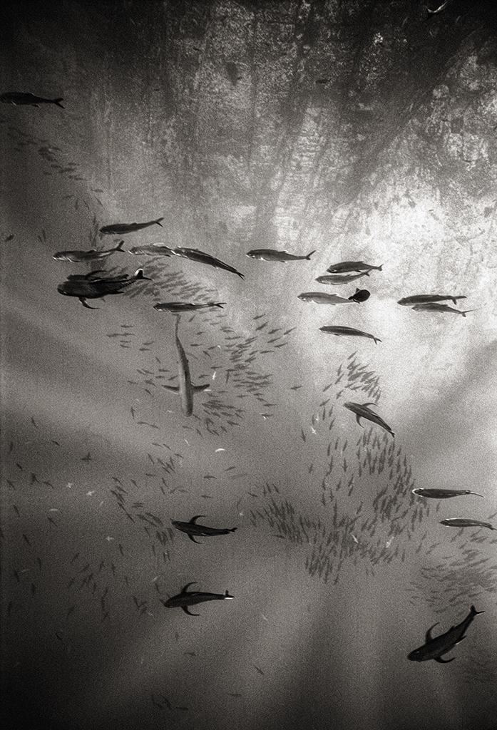 Roca_Partida – Viewpoint Photographic Art Center