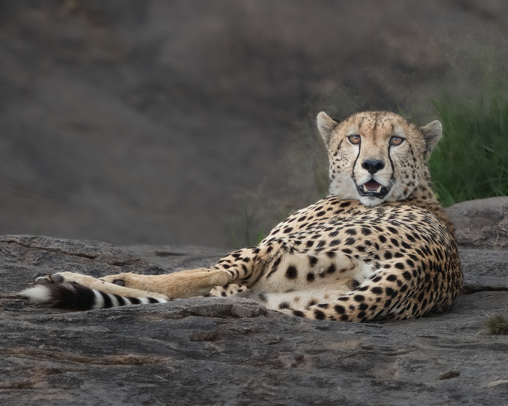 Viewpoint Photographic Art Center