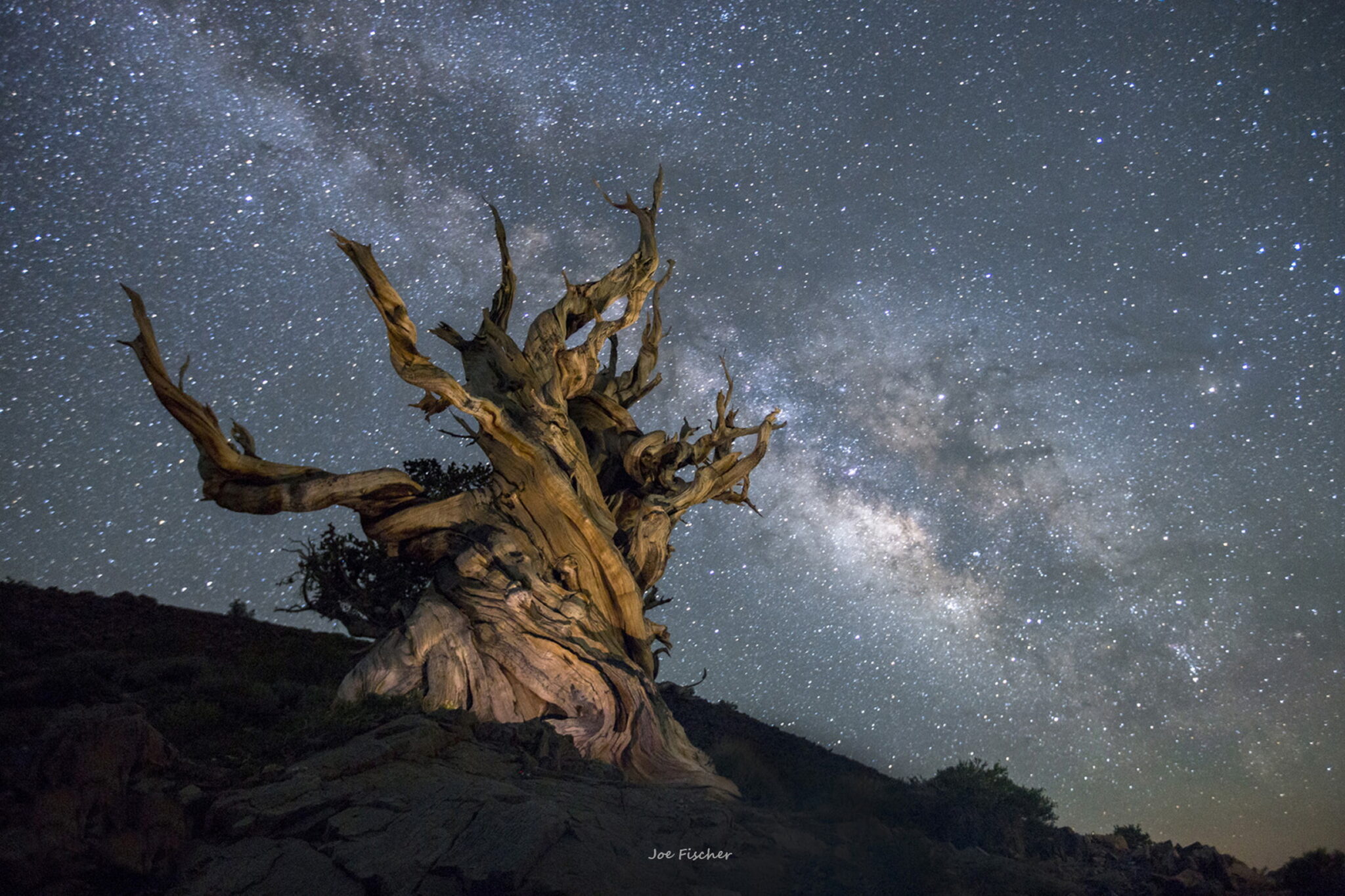 Viewpoint Photographic Art Center